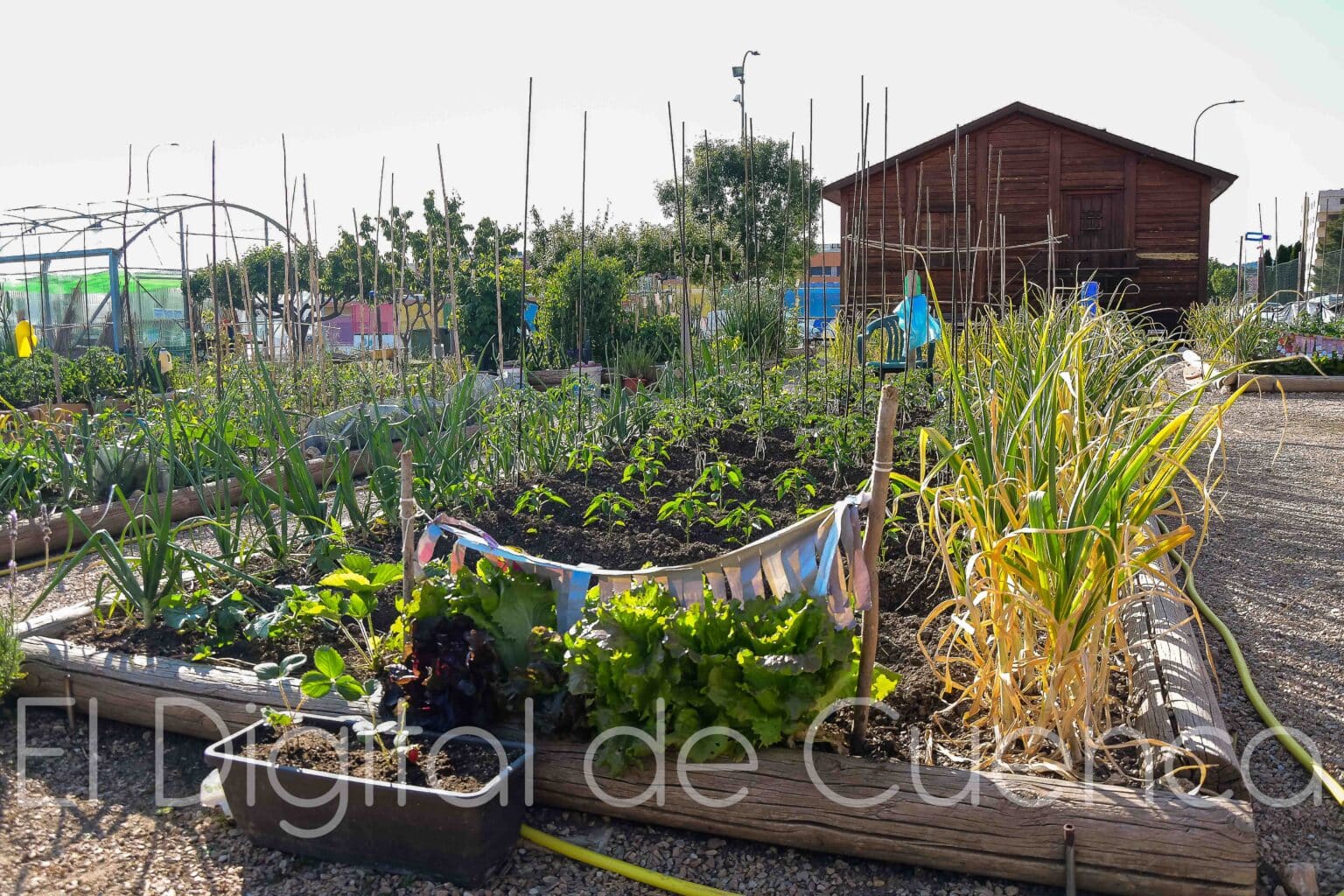36 parcelas en esta zona de Cuenca para sembrar convivencia y ...