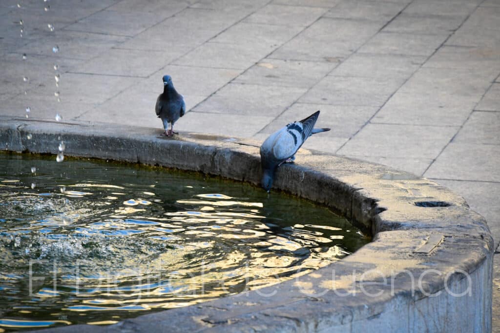 AEMET: el tiempo en Cuenca para este jueves, 4 de junio, al detalle ...